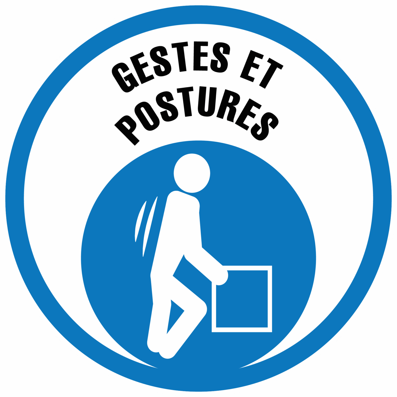 Gestes et Postures - mf-cafprp